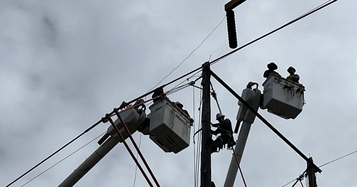 Enhance Safety During Live-Line Maintenance With Barry D.E.W. Line ...