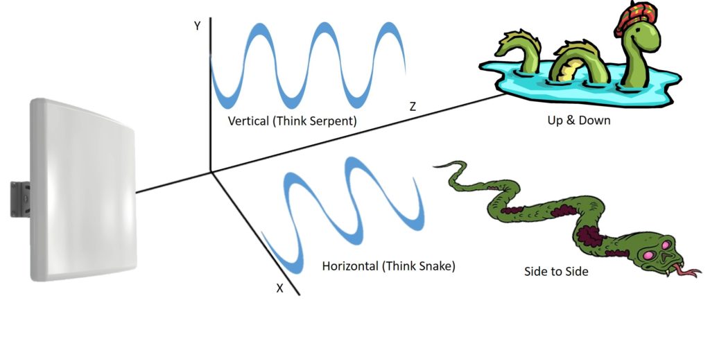 Understanding Dual Polarized Antennas