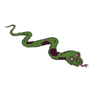 Understanding Dual Polarized Antennas