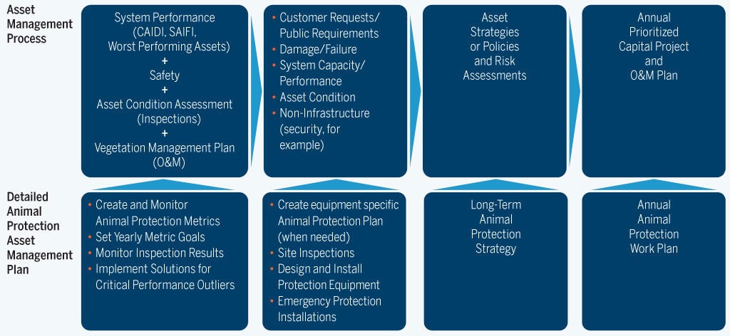 Asset Management Planning for Wildlife Outage Mitigation Planning