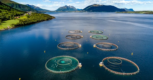 Helical Anchors: An efficient and eco-friendly alternative to ...